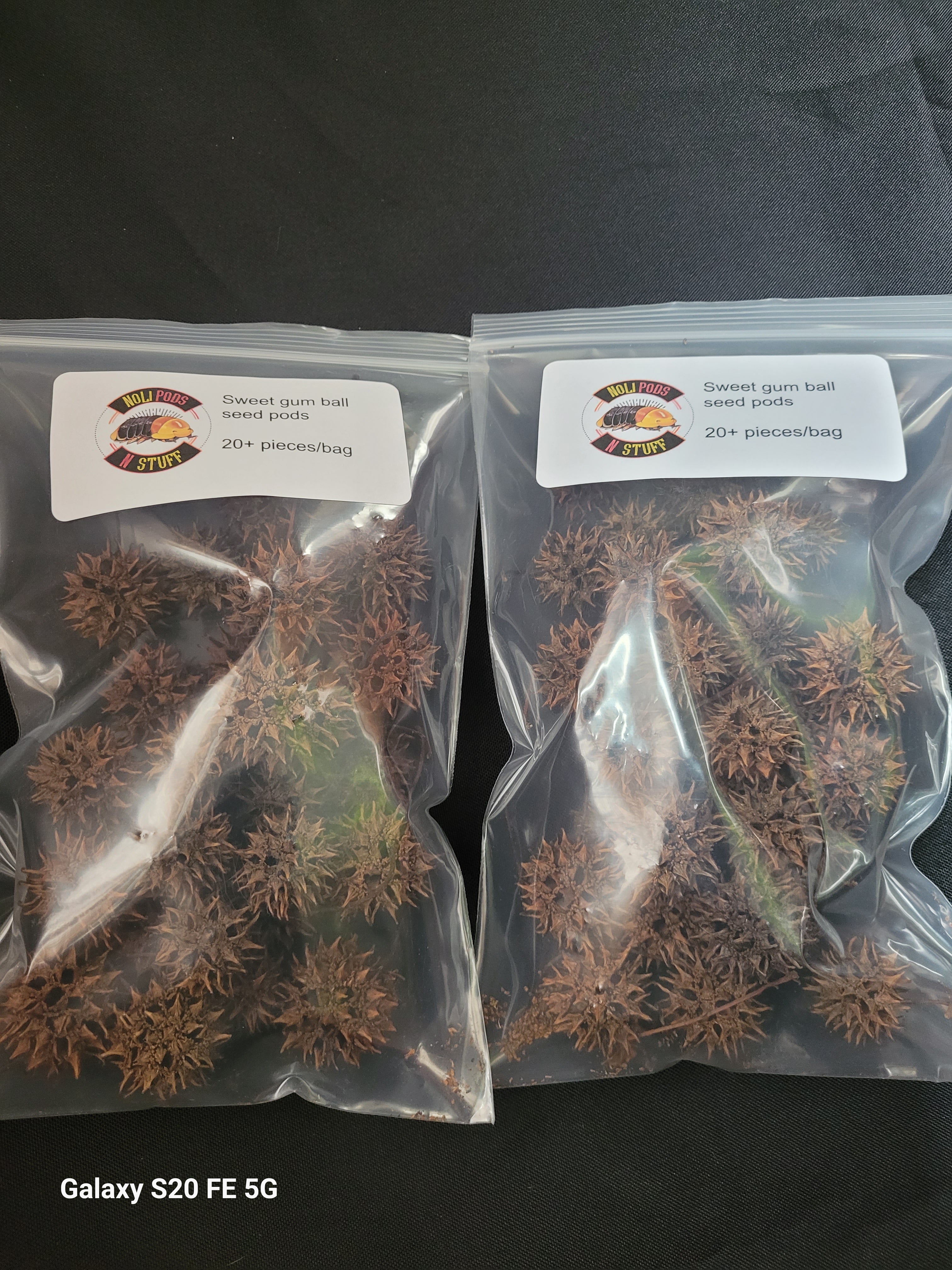 (2) 20+ packs of sweet gum ball seed pods – NoLi Pods N' Stuff