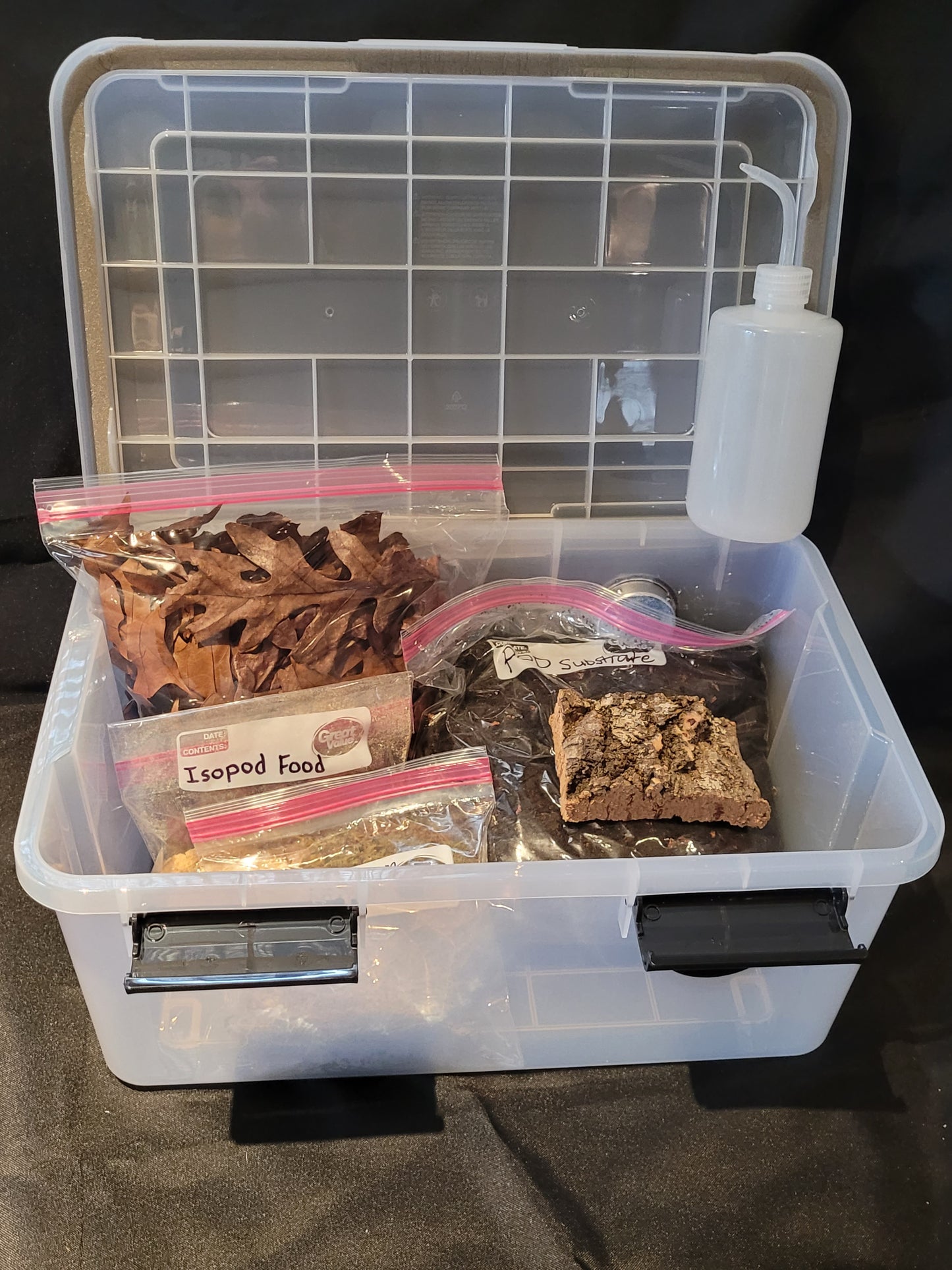 19 quart Isopod breeding starter kit – NoLi Pods N' Stuff