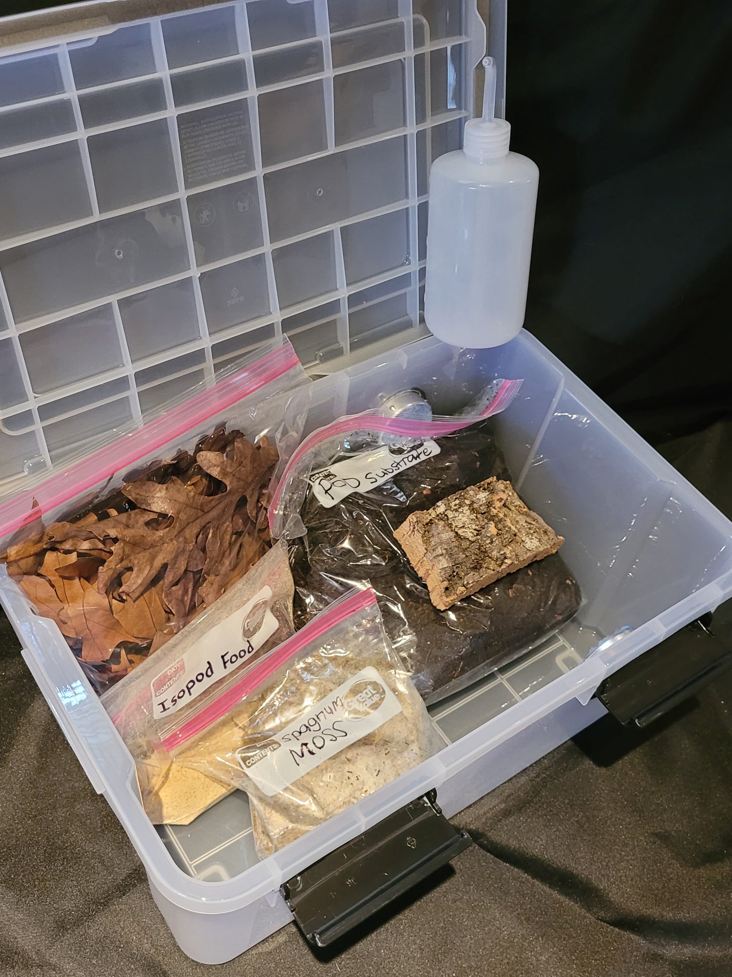 19 quart Isopod breeding starter kit – NoLi Pods N' Stuff